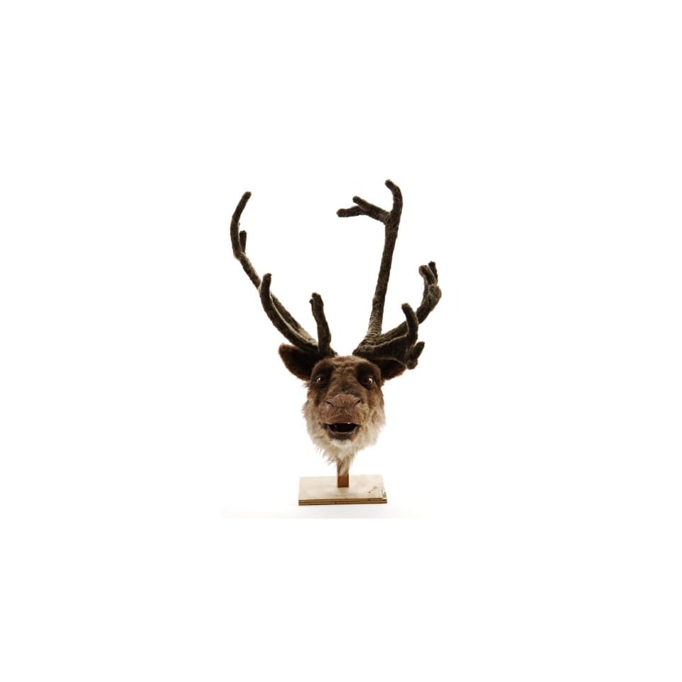 The Santa Clause 2 Reindeer