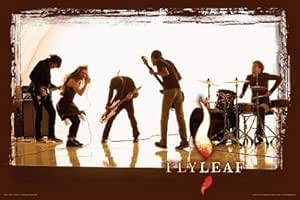 Amazon.com: Flyleaf Band Poster - Large 24" x 36" Wall Poster: Kitchen ...