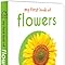 Amazon - My First Book Of Flowers : First Board Book: Wonder House ...