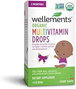 Amazon.com: Wellements Organic Multivitamin Drops, 1 Fl Oz, Baby Liquid ...