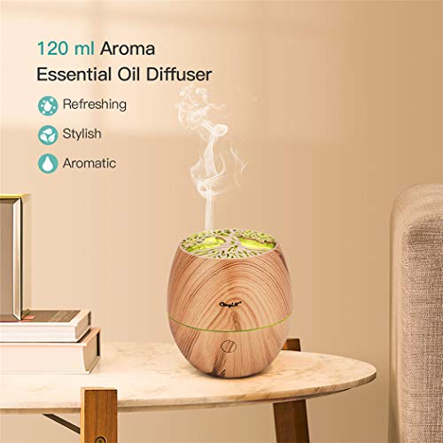 CkeyiN Small Essential Oil Diffusers 120ml Portable Aromatherapy ...