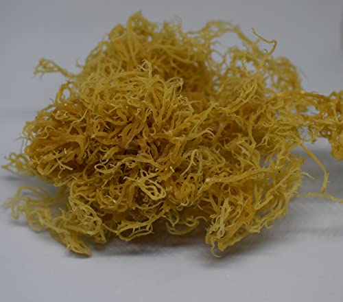 Sea Moss | Irish Sea Moss | Premium Quality | Raw & Wildcrafted from ...