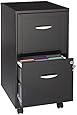 Amazon.com: Hirsh 2-Drawer SOHO Mobile File Cabinet, 18-Inch, Black ...