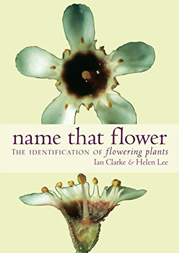 Name That Flower: Identification of Flowering Plants: Clarke, Ian, Lee ...