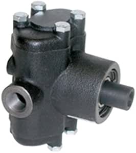Amazon.com: Hypro Small Twin Piston 3 GPM, Hollow Shaft (5330C-HX ...