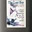 The Lost Boy: A Foster Child's Search for the Love of a Family: Dave ...