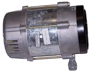 Amazon.com : 5000 Watt Generator Head Replacement : Generator ...