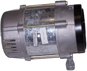 Amazon.com: 5000 Watt Generator Head Replacement: Home Improvement
