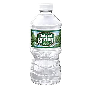 Amazon.com : Poland Spring 100% Natural Spring Water, 12 Fluid Ounce ...