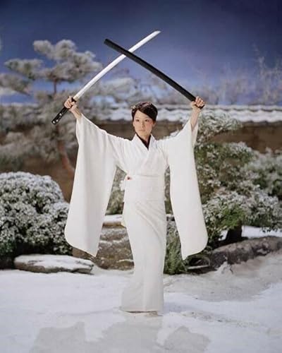 Lucy Liu holds swords aloft as O-Ren Ishii 2003 Kill Bill 24x36 inch poster in Oman | Whizz ...