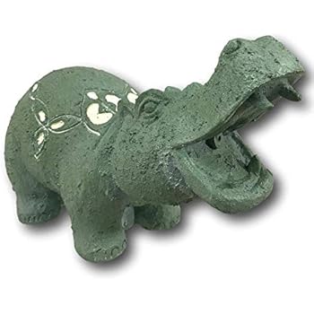 Amazon.com: Algreen Pond Fish Spitter with Pump and Tubing: Garden ...