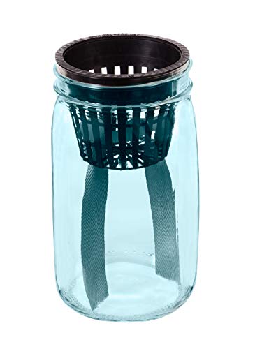 Amazon.com : Evergreen Garden Self-Wicking Glass Mason Jar Planters ...
