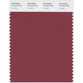PANTONE Smart 19-1762X Color Swatch Card, Crimson - House Paint ...