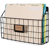 Amazon.com : Wall35 Rivista File Holder Home Office Desk Organizer ...