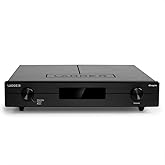 Amazon.com: Ladder Bach Fully Balanced HiFi Preamplifier R-2R Structure ...