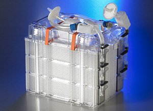 Cellbind Hyperstack Polystyrene Rectangular Cell Culture Vessel, 36 ...