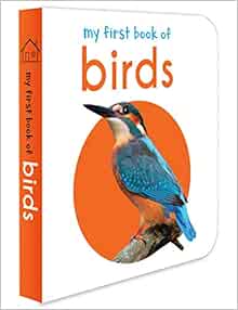 My First Book Of Birds: First Board Book: Wonder House Books ...
