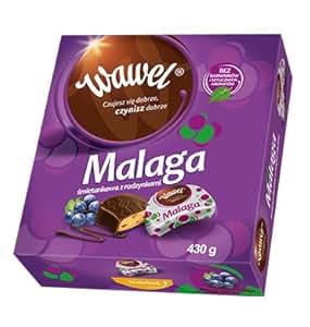 Amazon.com : Wawel Malaga Milk Chocolate with Raisins in Nut Filling ...