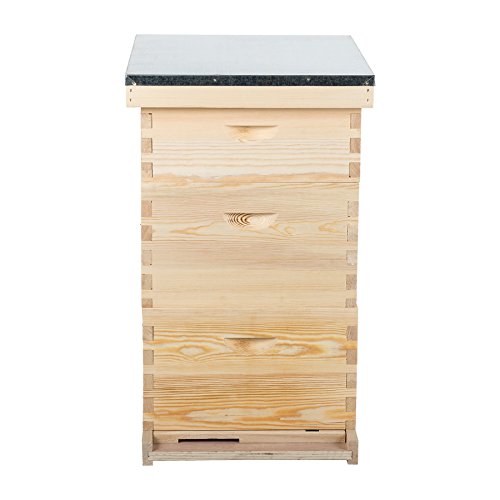TERRADISE Bee Hive, 3 Layer Honey Bee Hives, Beekeeping Supplies Beehive Kit with 10 Medium 20 ...