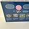 The Octonauts: Underwater Adventures Box Set: Meomi: 9781597021357 ...
