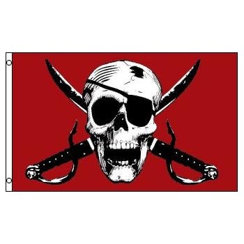 Amazon.com : Don't Tread on me (Pirate) Flag 3x5ft : Outdoor Flags ...