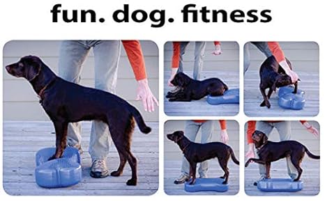 Ball Dynamics Fpkbone Razzle Berry K9 Fitbone Balance Training Device ...