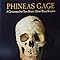 Phineas Gage: a Gruesome But True Story About Brain Science: Fleischman ...