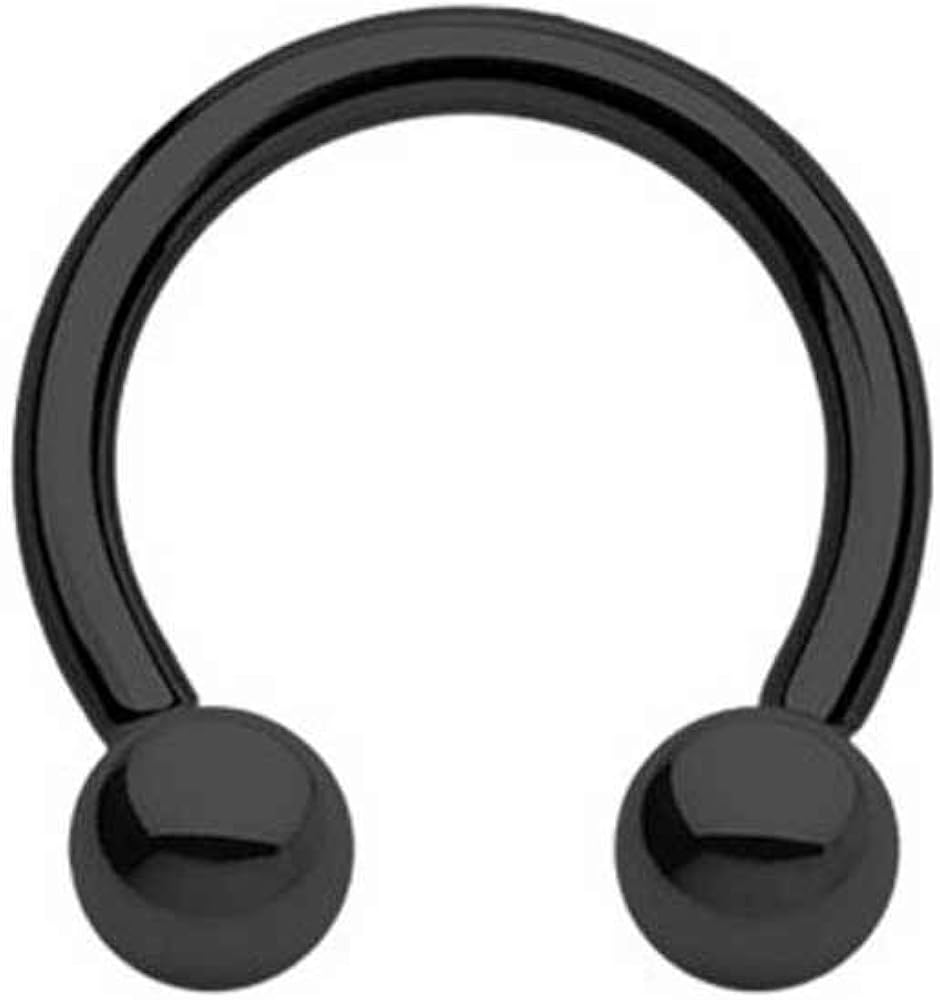 Titanium IP Plated Over 316L Surgical Steel Nose Ring Hoop Septum ...