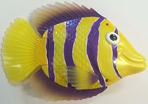 Amazon.com: SwimWays Rainbow Reef Fish - Orange/Purple/Blue: Toys & Games