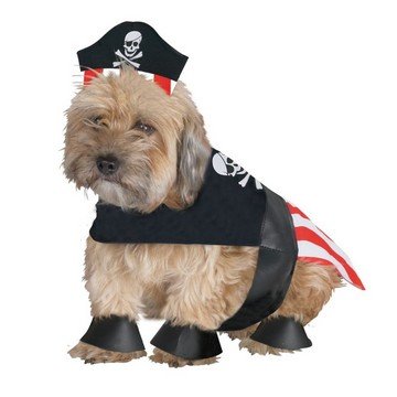 Pirate Dog Halloween Costumes - Best Costumes for Halloween