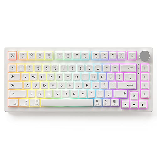 Akko PC75B Plus Air 75% Wireless Gaming Keyboard | LED RGB Wireless ...