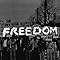 Freedom: A Photographic History of the African American Struggle ...