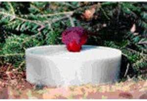 Amazon.com : Happy-Bird Super Solar Sipper : Bird House Accessories ...