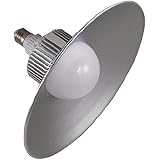 Amazon.com: StonePoint LED Lighting Utility Light GGL-50 Energy ...