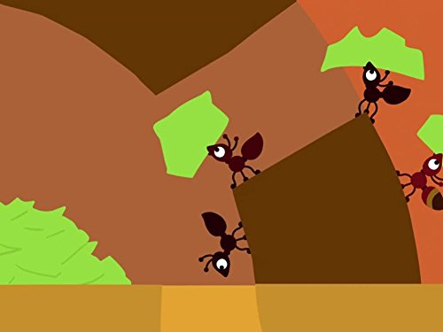 Watch Animanimals Season 1 | Prime Video