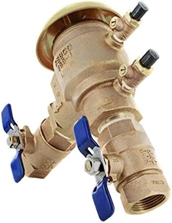 Febco 765EBV 1″ Complete Valve Vacuum Breaker – BigaMart