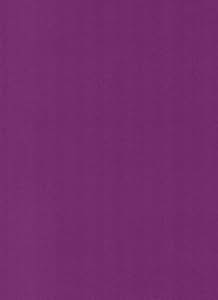10 hojas A4 de color morado uva de cartulina de 240 g/m², color mate ...