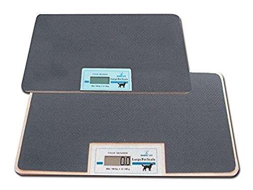Gima 27258 Digital Veterinary Scale, Medium – BigaMart