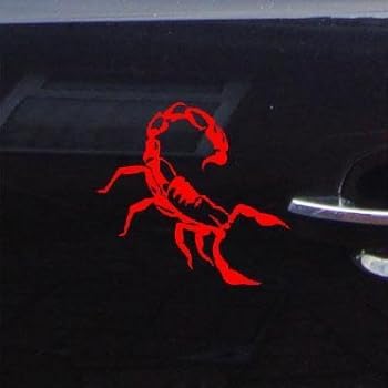 Amazon.com: Decal Vinyl Stickers Scorpion Car Window Wall Art Decor ...
