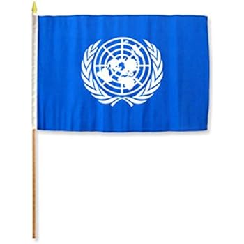 Amazon.com : AES 12x18 Stick Flag United Nations Member Set Flags ...
