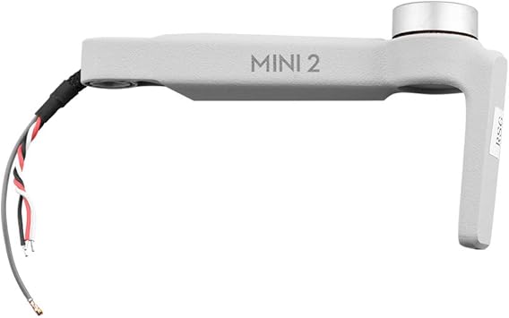 Amazon.com: Replacement Arm with Motor for DJI Mini 2 Drone Landing ...