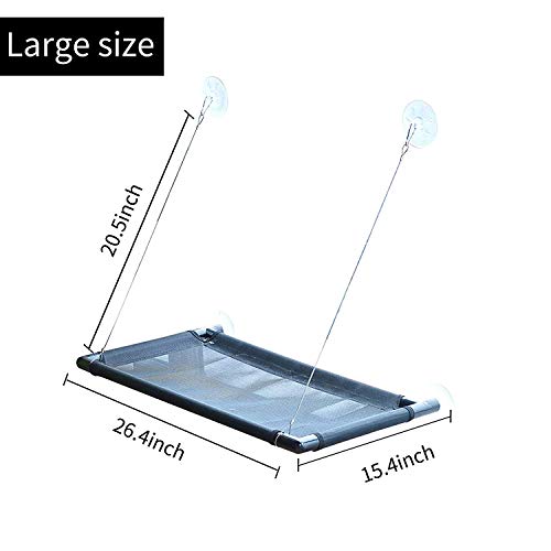 Why a window perch is the best thing for your cat?