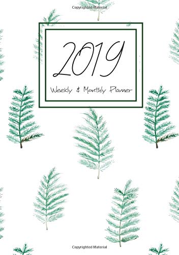 Download 2019 Weekly & Monthly Planner: Calendar Agenda Organizer with ...