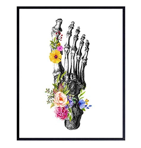 Amazon.com: Human Anatomy Medical Wall Art for Doctor Office ...