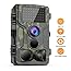 Amazon.com : Primos Truth Cam 35 Camera : Hunting Game Cameras : Sports ...
