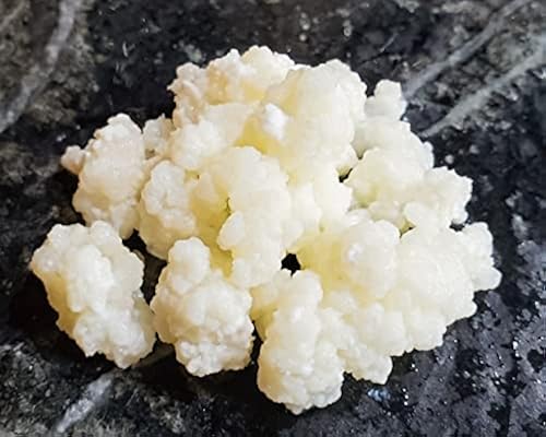 Kefir Grains - Living Probiotic Enriched in Oman | Whizz Grains & Rice