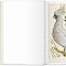 Albertus Seba: Cabinet of Natural Curiosities: SEBA, CURIOSITIES ...