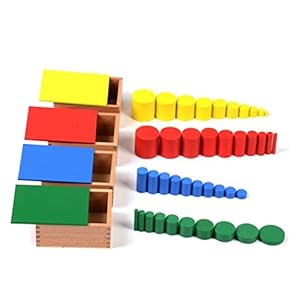Amazon.com: Montessori Knobless Cylinders (Set of 4): Toys & Games