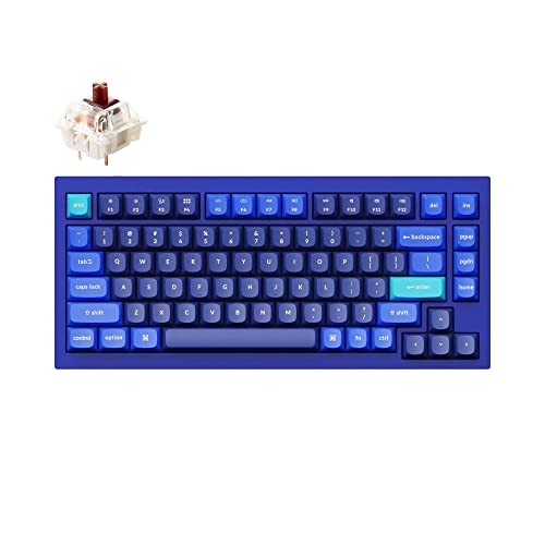 Keychron Q1 RGB Wired Custom Mechanical Keyboard, 75% Layout QMK/VIA ...