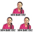 Amazon.com: E-Z WRAPS - 3 How Dare You Stickers Greta Thunberg Funny ...